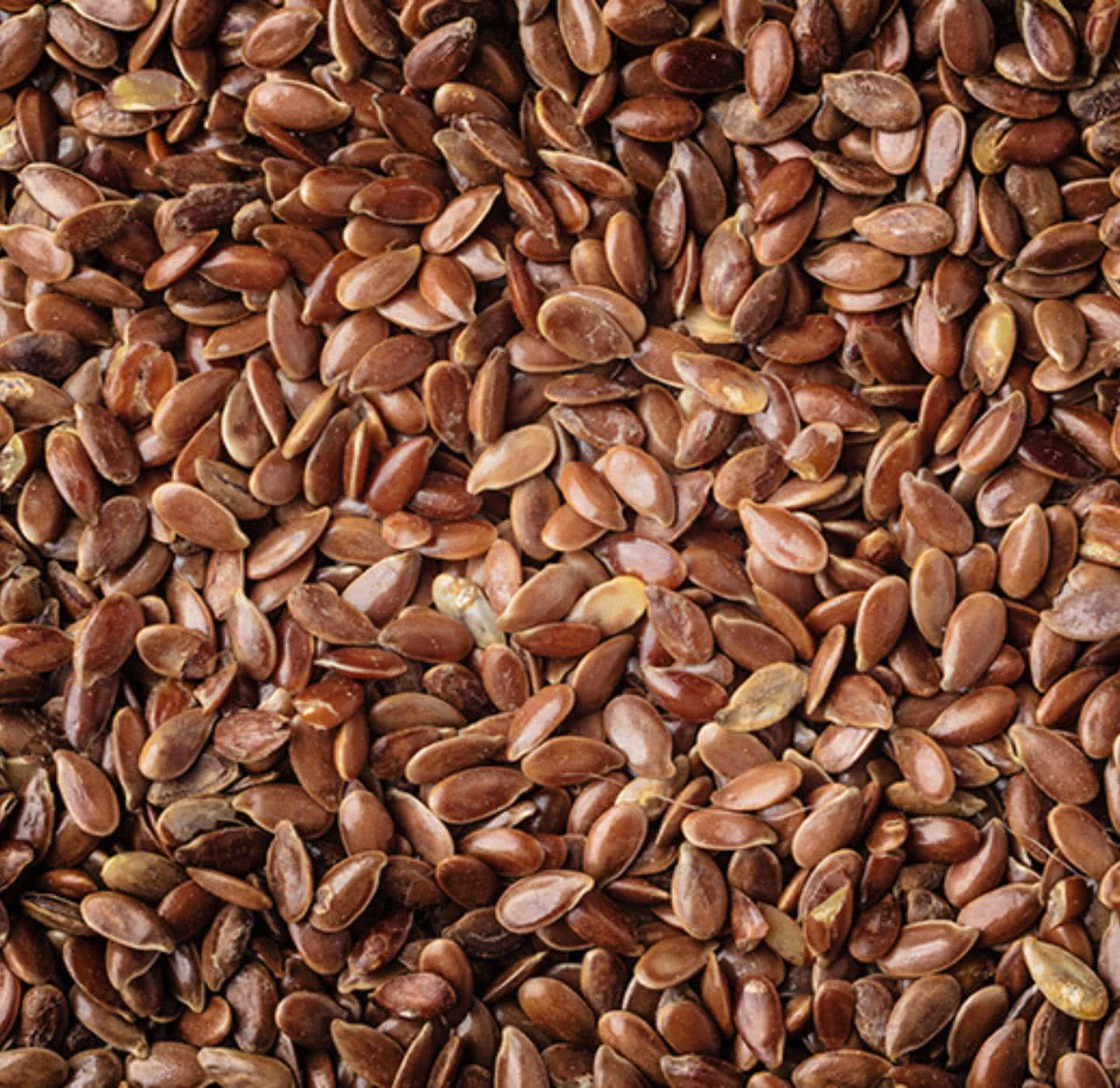 Tout savoir sur le lin européen | ALLIANCE