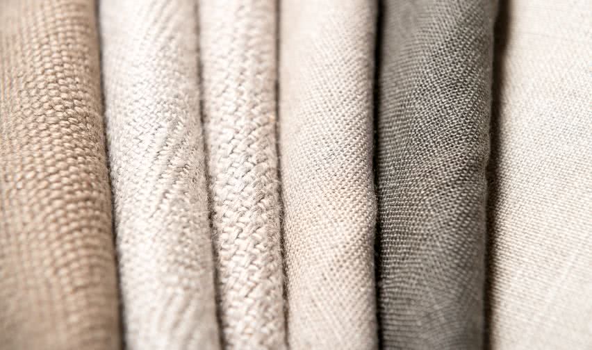 Everything you need to know about European flax | ALLIANCE