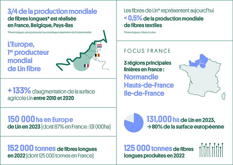 Les chiffres du marché du Lin fibre européen en 2023 | ALLIANCE